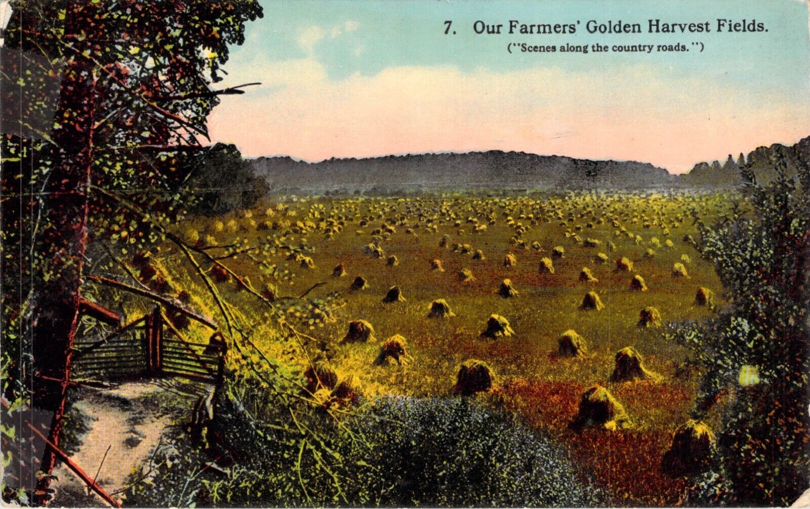 Vintage Postcard 1910s 'Our Farmers' Golden Harvest Fields' Hay Piles ...