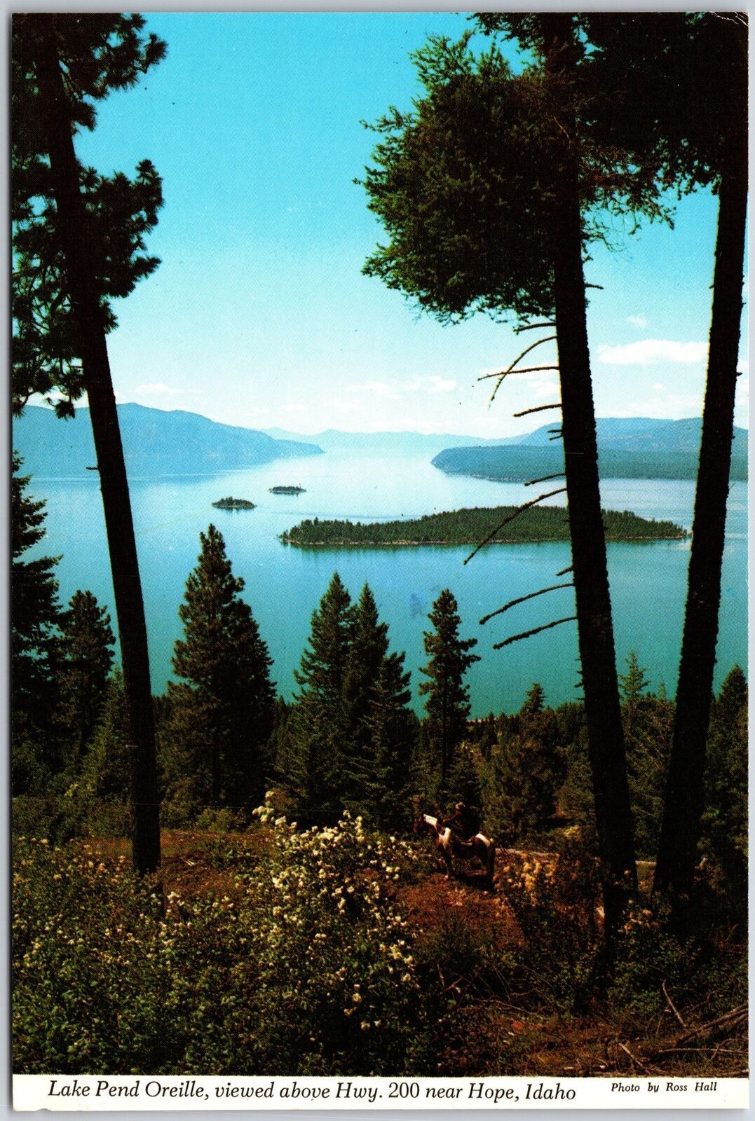 1977 Beautiful Lake Pend Oreille Hope Idaho Syringa State Flower Posted ...