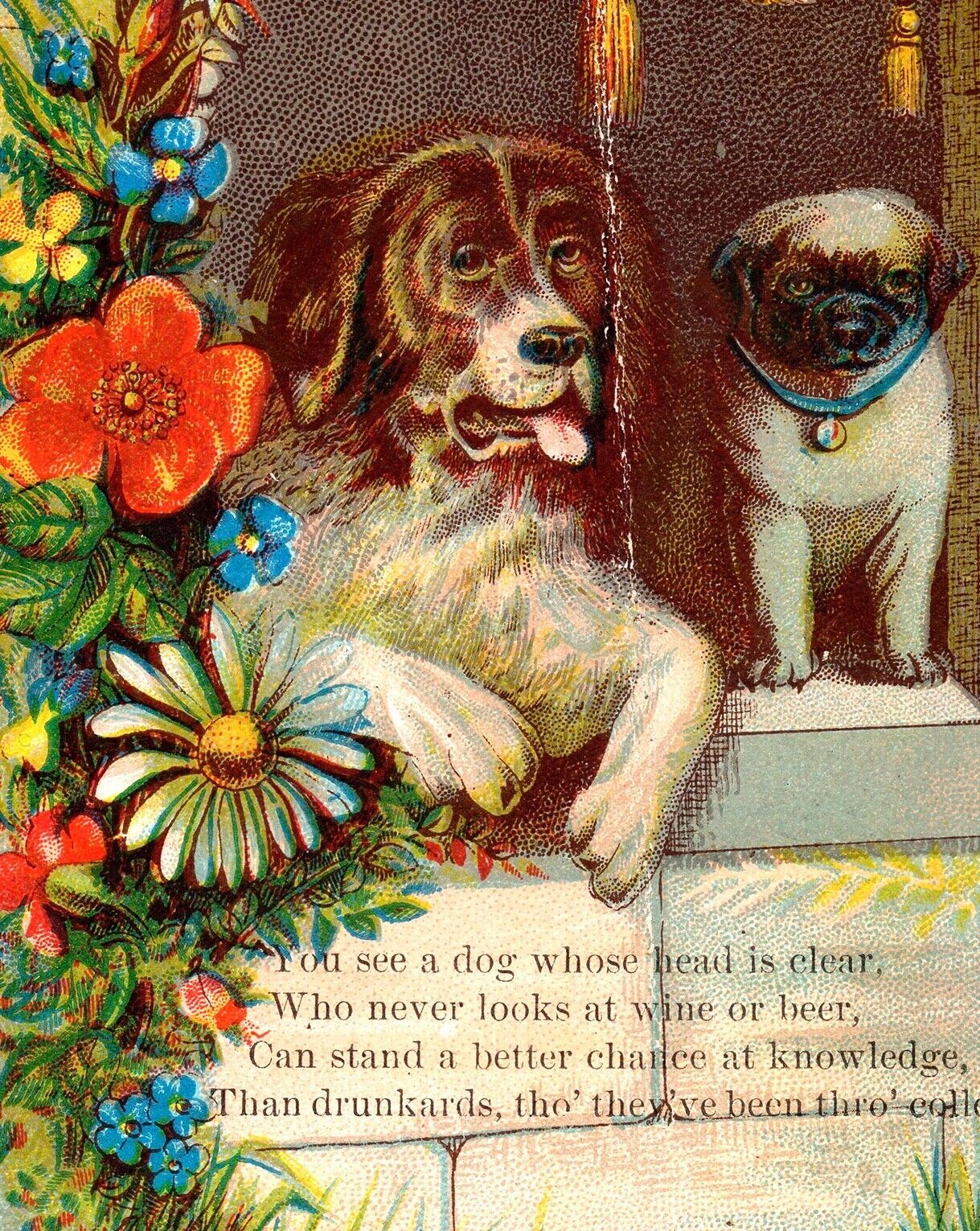 Temperance Movement St. Bernard & Bulldog Dogs, Flowers, Poem Antique ...