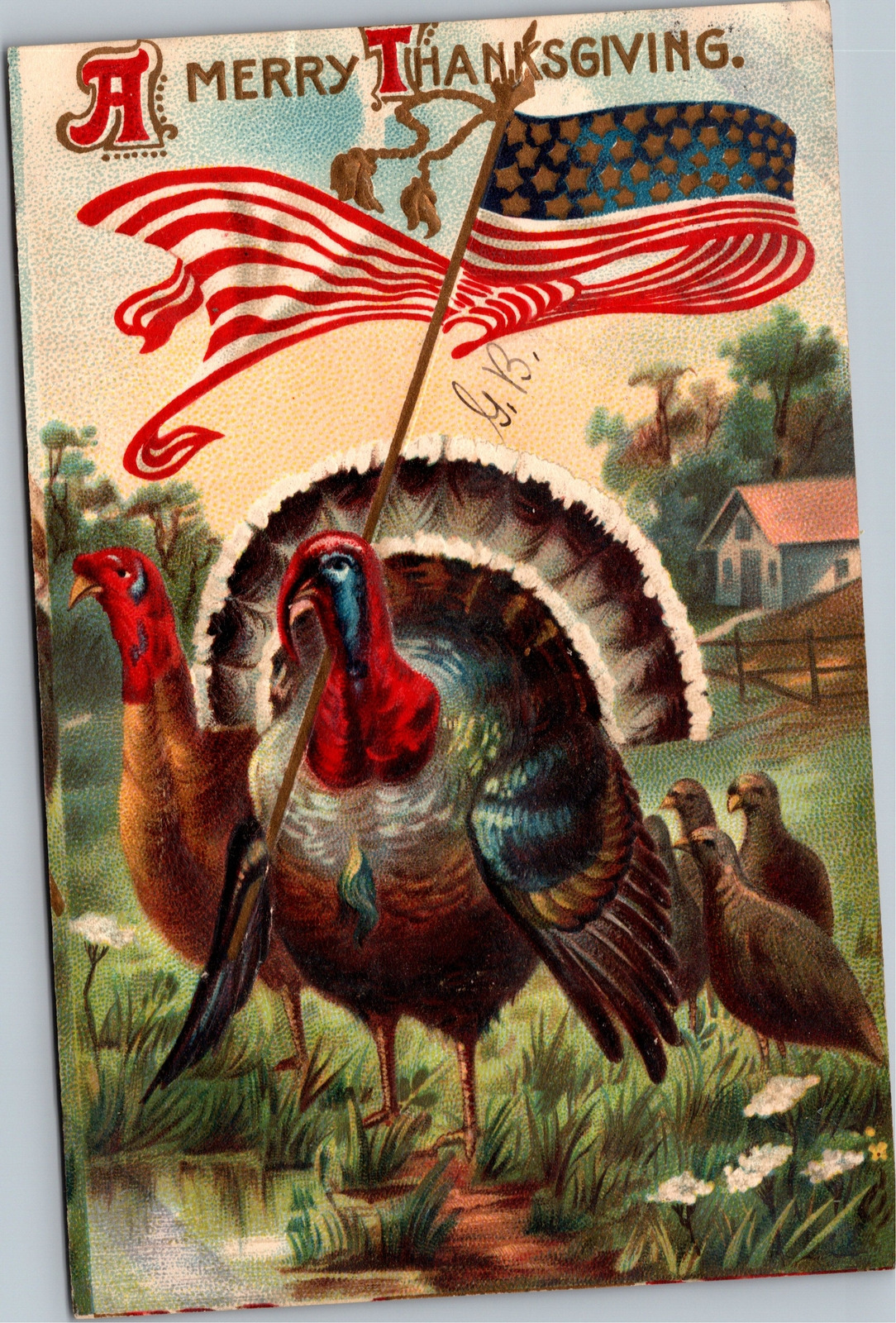 Postcard Patriotic Turkey carrying Flag with turkey and fowl behind ...