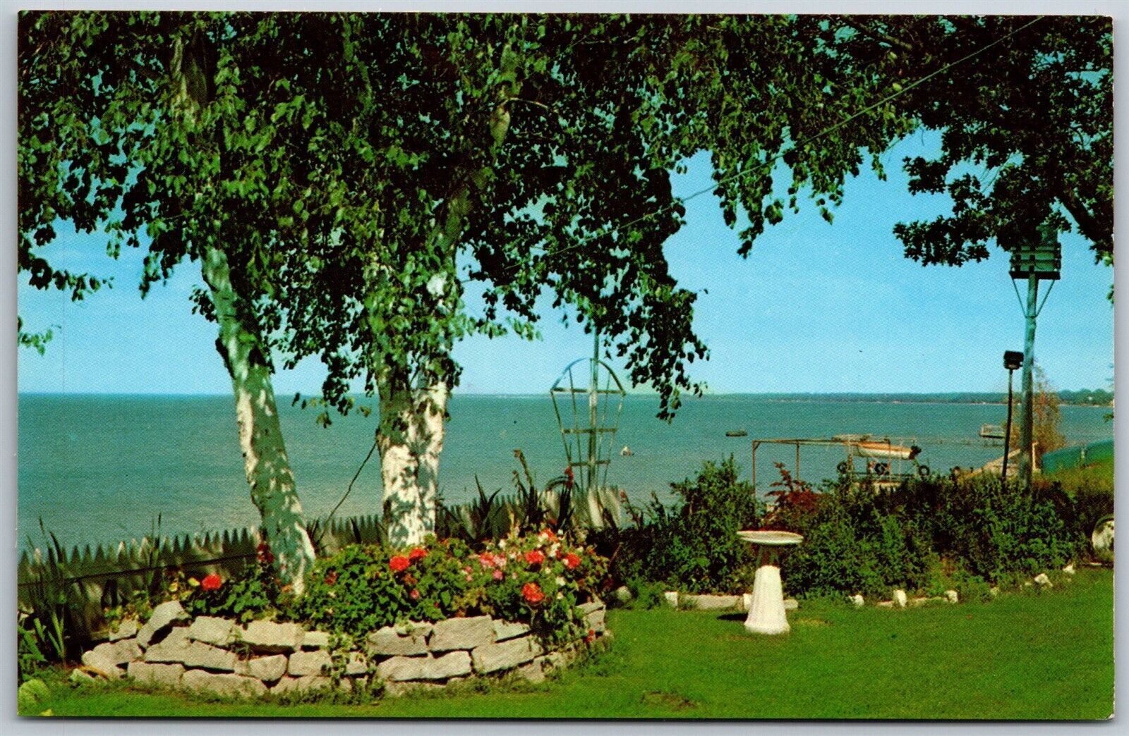 Vtg Bad Axe Michigan MI White Birch Trees Lake View 1950s Old Postcard ...