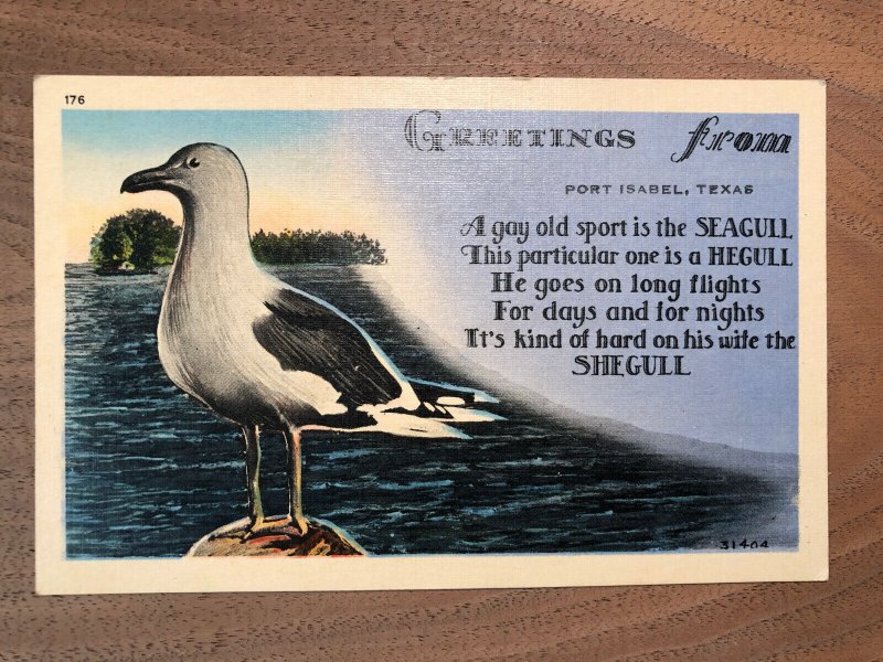 Vintage 1940s Greetings from Port Isabel TEXAS Seagull Poem Postcard ...
