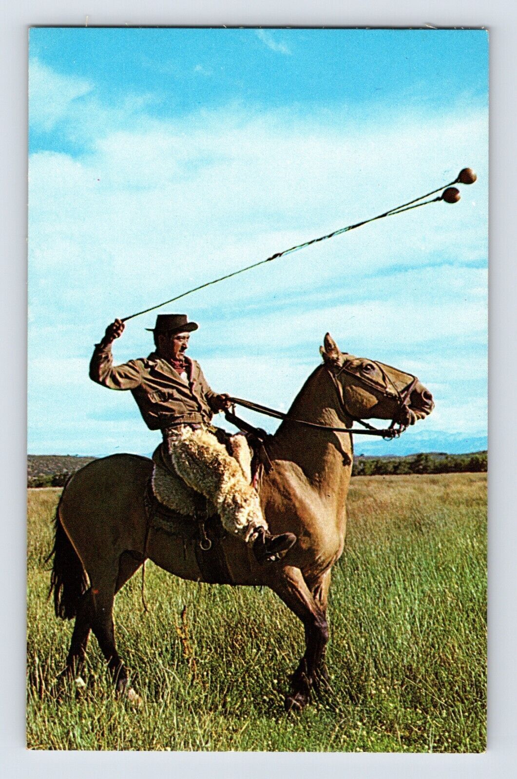 Postcard Airplane Pan American Grace Panagra Airlines Gaucho Argentina ...