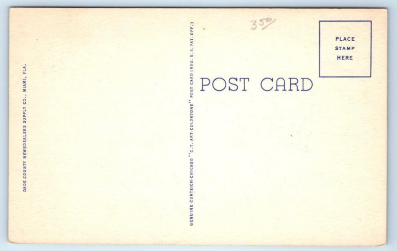 3 Postcards UNIVERSITY of MIAMI, Coral Gables FL ~ Merrick Building ...