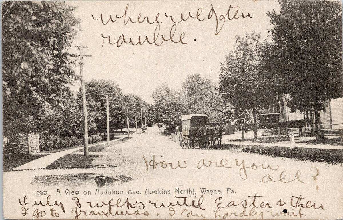 Wayne PA Audubon Avenue Horses Carriage Antique Rotograph Postcard G29 ...