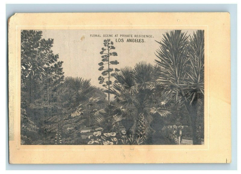 1880's Scene In Las Angeles Jersey Coffee Victorian Trade Card F43 ...