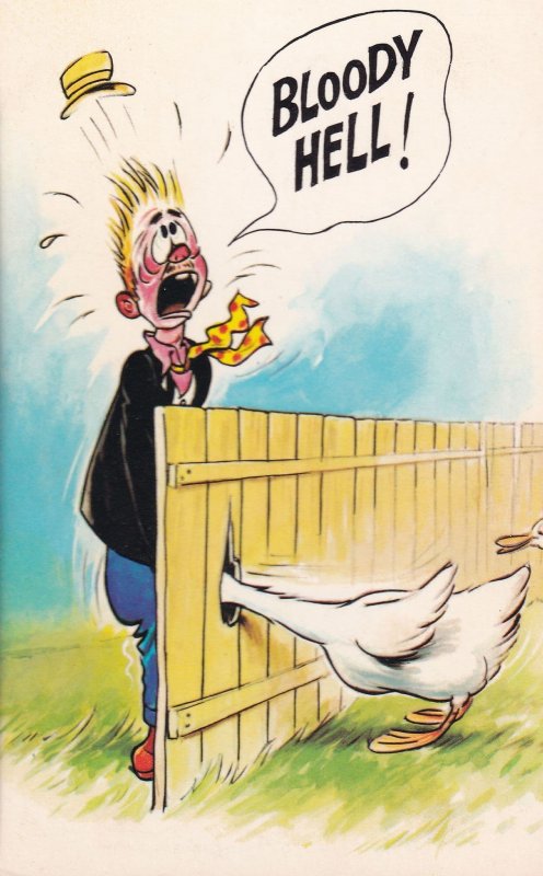 Bloody Hell Duck Goose Attack Comic Humour 160 Bamforth Postcard ...