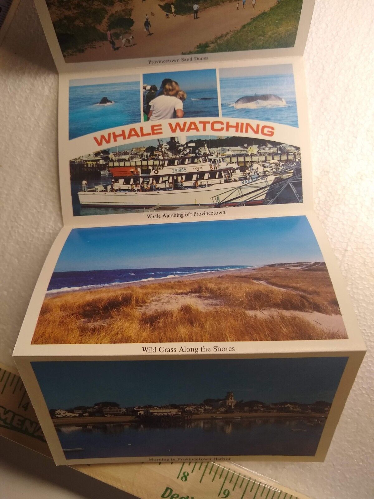 Postcard Folder Air View of Tip of Cape Cod, Provincetown ...