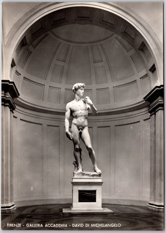 Firenze ~ Galleria Accademia - David Di Michelangelo Real Photo RPPC ...