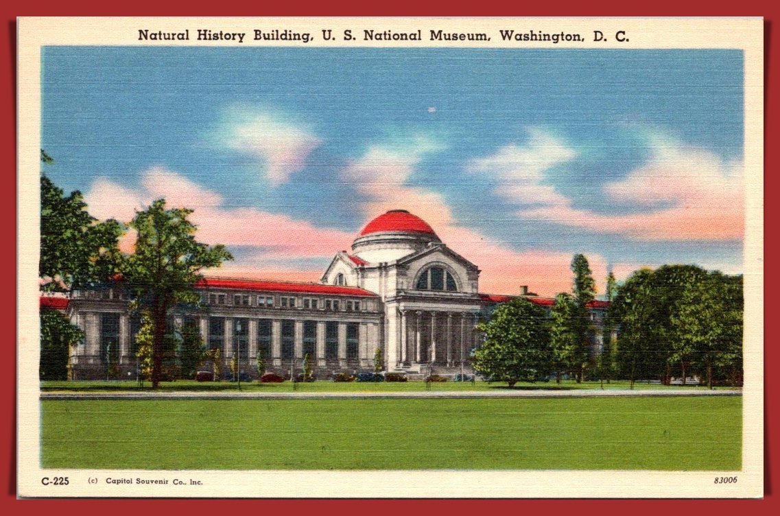 Washington DC - Natural History Building - [DC-395] | United States ...