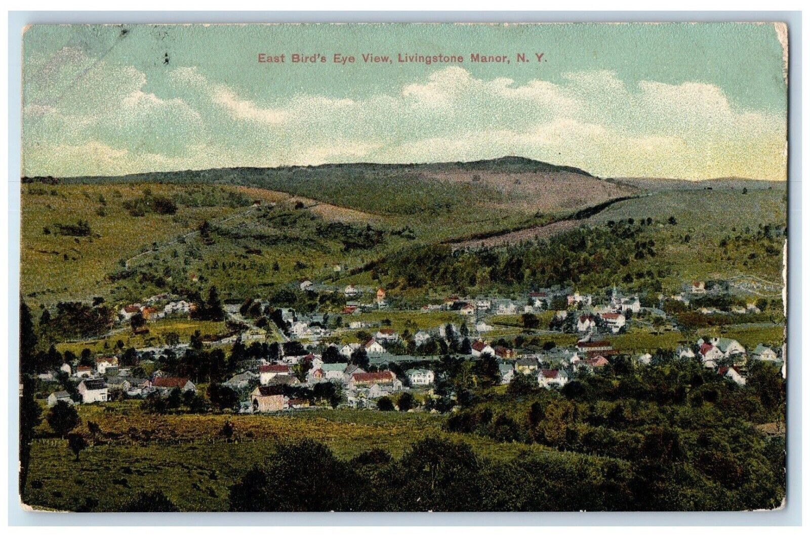 1910 East Bird's Eye View Livingston Manor New York NY Antique Vintage ...
