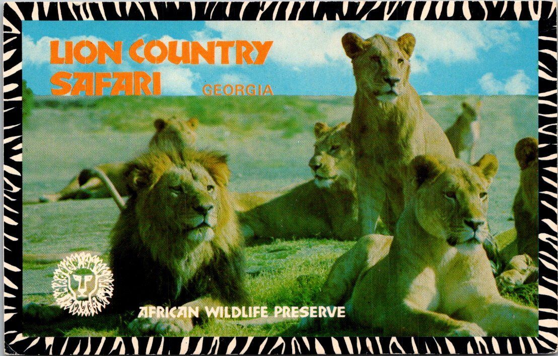 Lions At Lion Country Safari Georgia | Topics - Animals - Lions ...