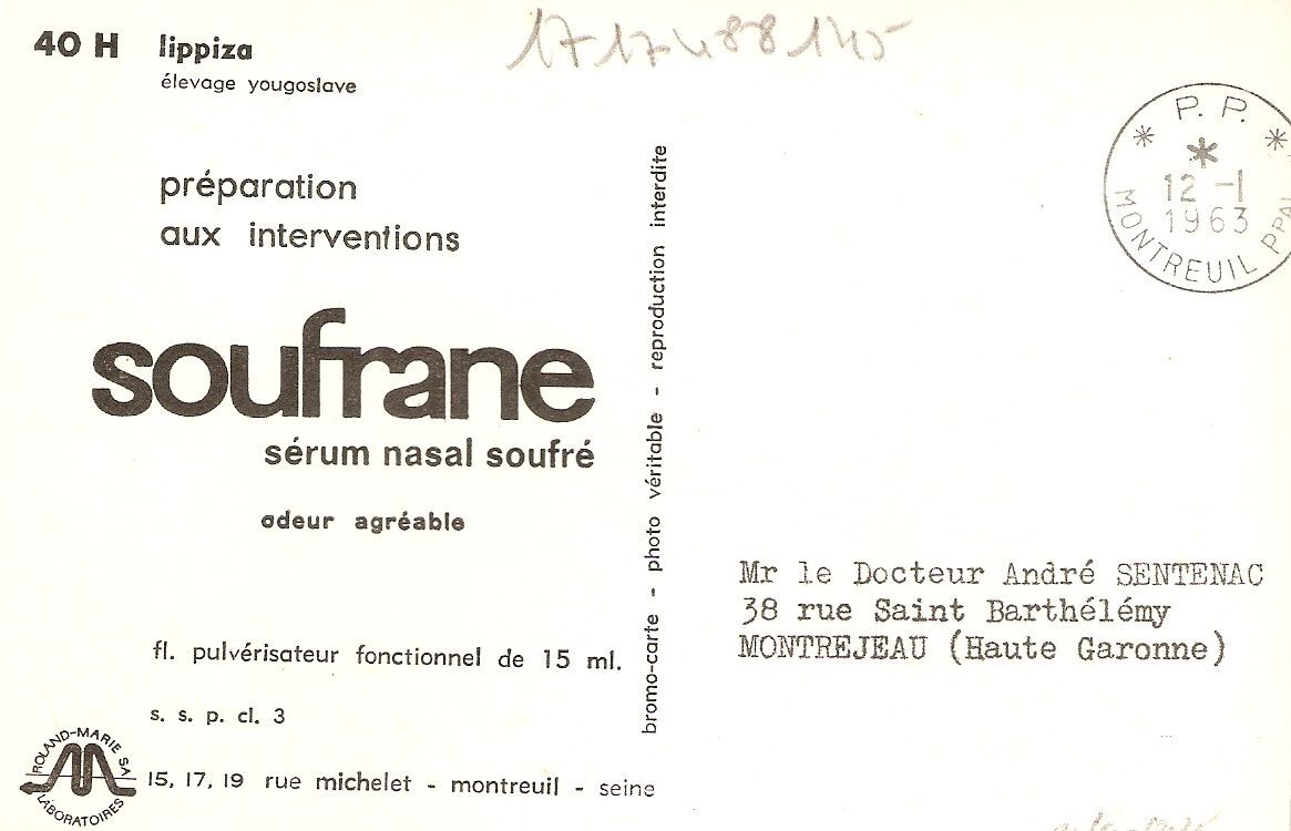 "Lady in horse.Lippiza. Elevage yugoslave French photo postcard 1960s ...