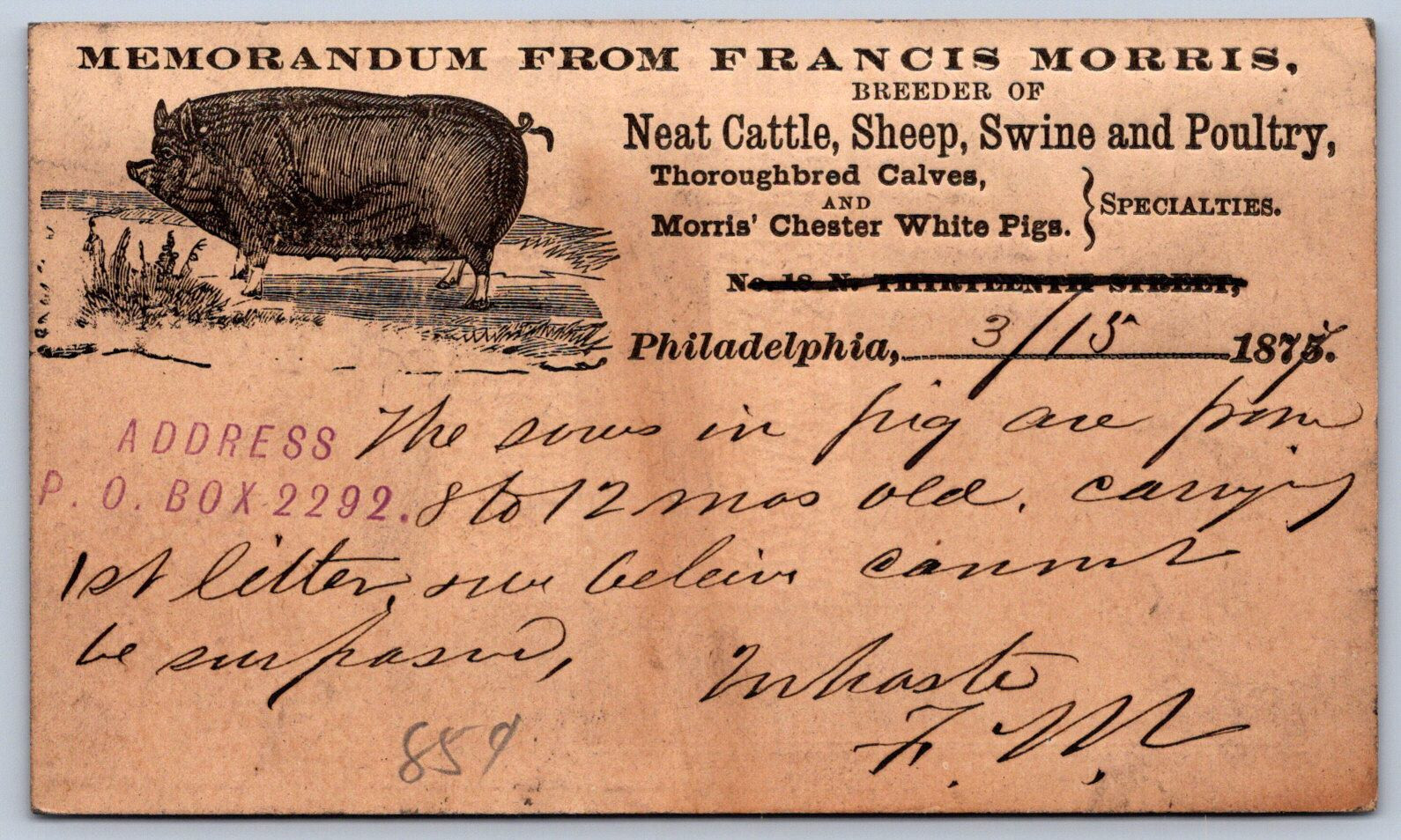 K23/ Philadelphia Pennsylvania Postcard 1875 Francis Morris Pig Poultry ...