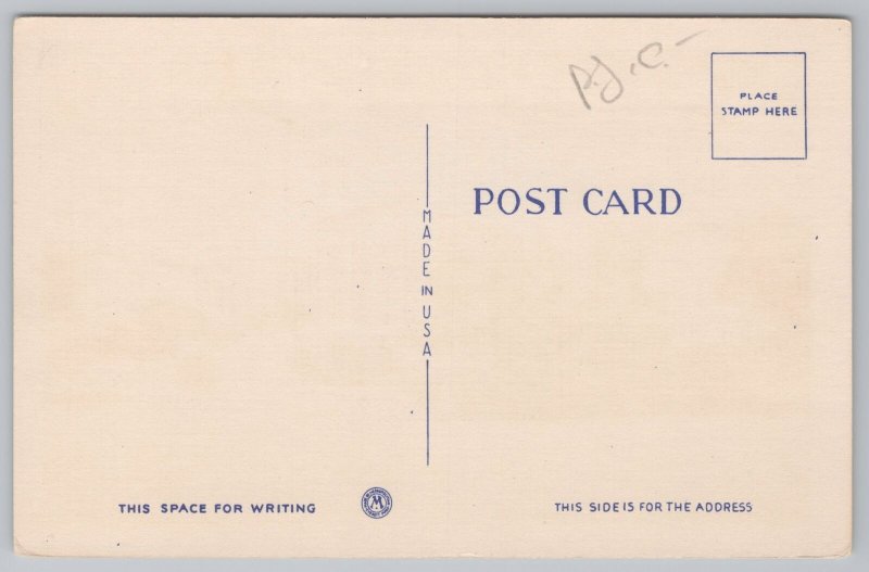 Linen~Albright Art Gallery Buffalo NY~Cherry Tree Blossoms~Vintage ...