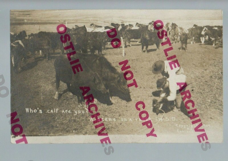 Aberdeen South Dakota Rppc 1909 Cowboys Roping Calf Wild West Leeland ...