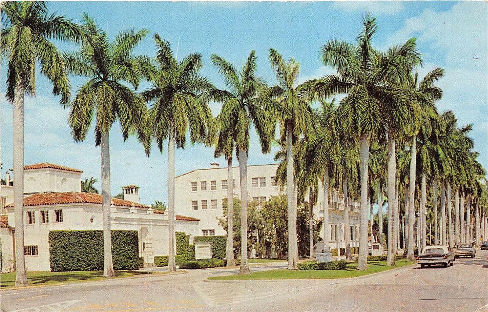 Palm Beach Florida 1963 Postcard Royal Palm Way Showing Four Arts ...