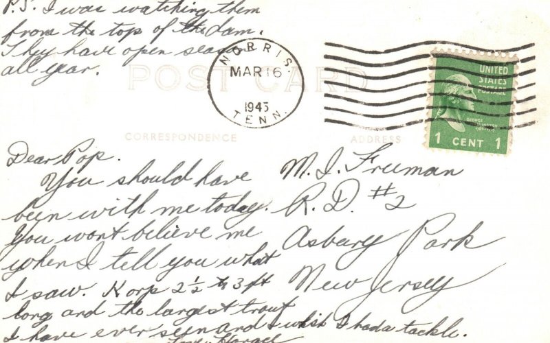 Vintage Postcard 1945 Rell Clements Norris Dam Norris Lake Tennessee TN ...