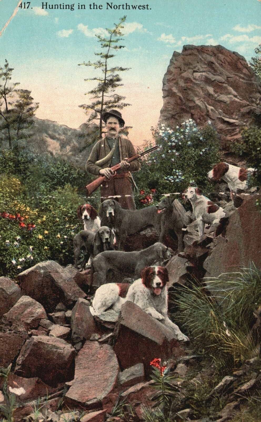 Vintage Postcard Hunting In The Northwest Hunter With His Eight Dogs In ...