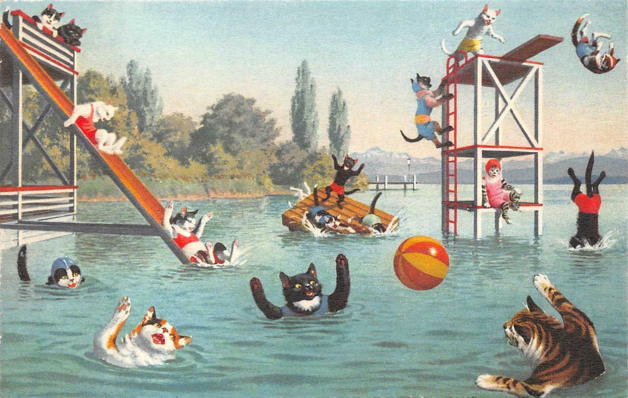 Cats Swimming Pool Slide Comic Dressed Animals Mainzer 4695 Postcard ...