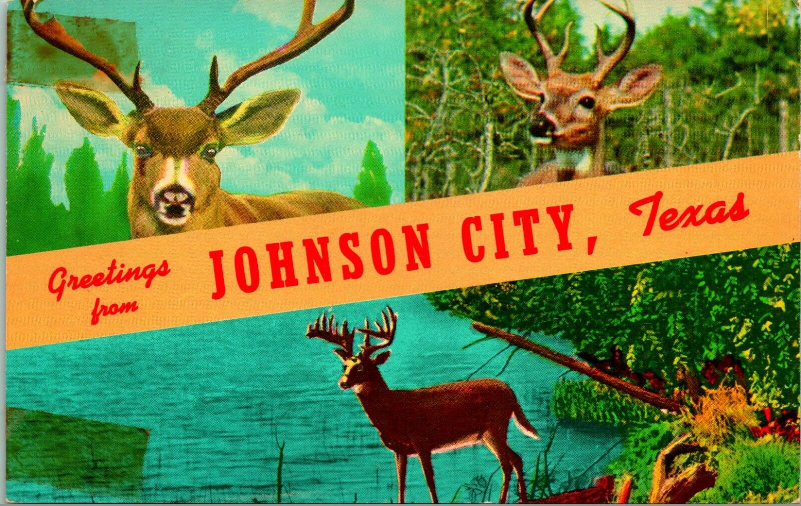Multiview Banner Greetings From Johnson City Texas Multi View Deer UNP ...