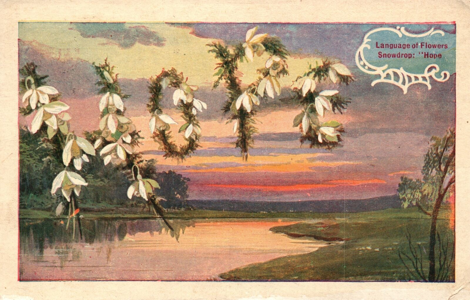 Vintage Postcard 1909 The Language Of Flower Snowdrop Hope Remembrance ...