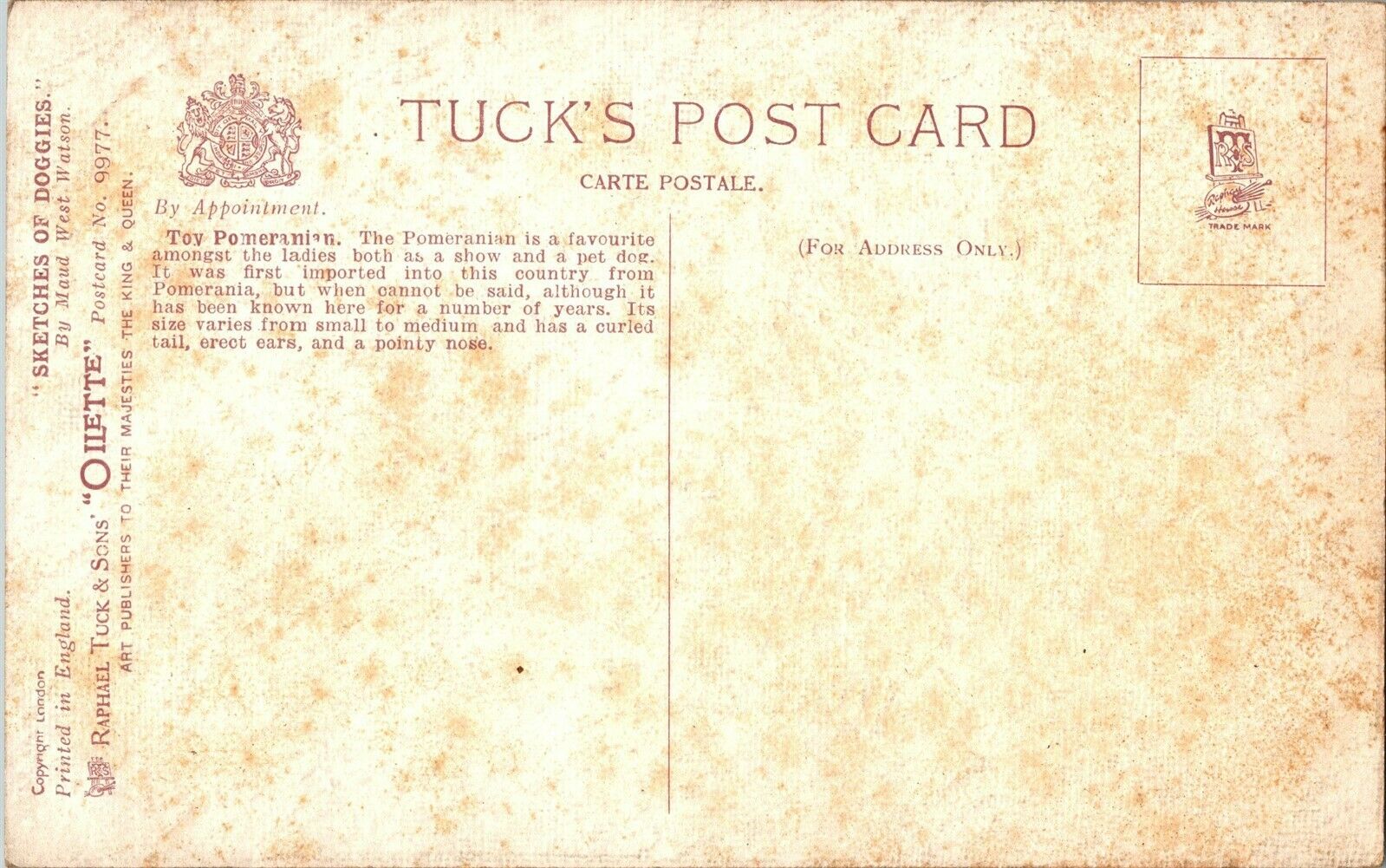 Tucks 9977 Sketches of Doggies Toy Pomeranian Maud Watson Vintage ...