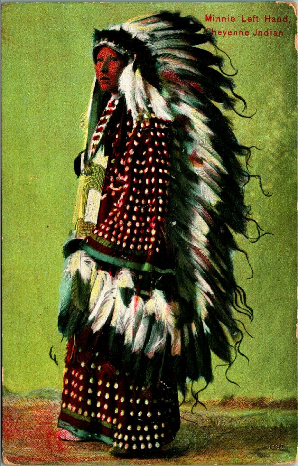 Minnie Left Hand Cheyenne Indian Native American 1910 DB Postcard C9 ...