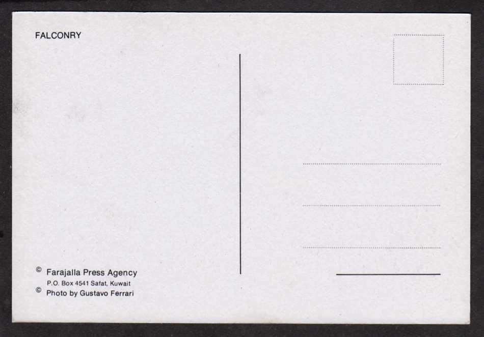 Falconry Falcon Hawk Bird Kuwait Arab Arabian Postcard Carte Postale ...