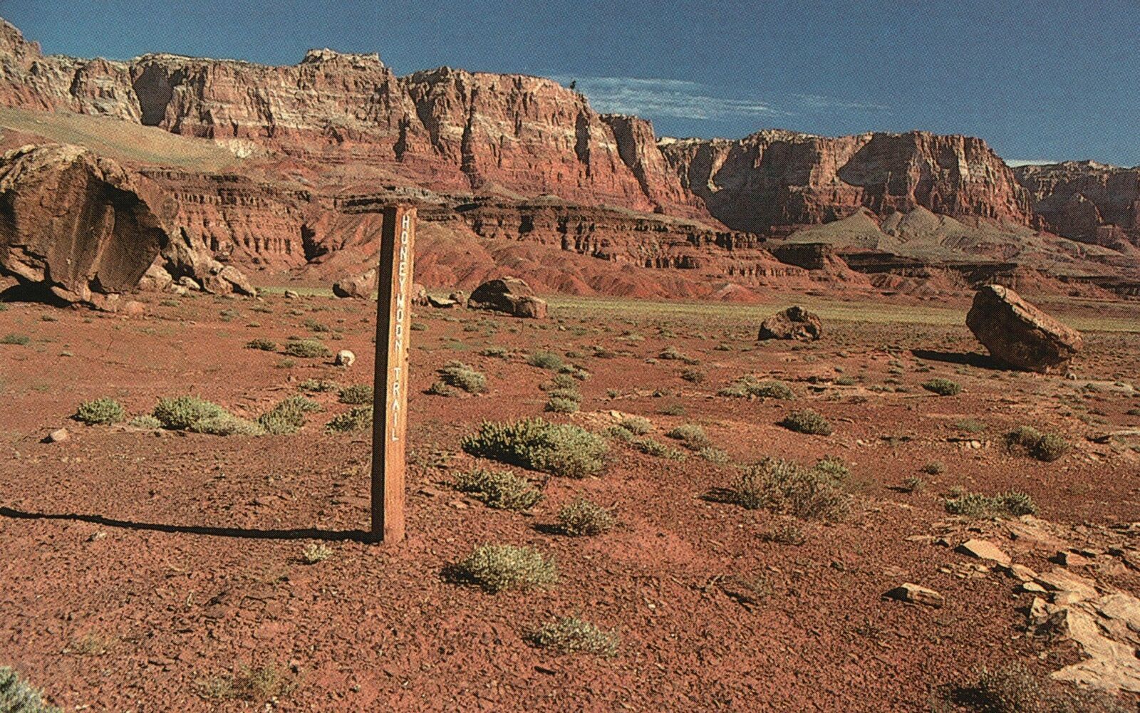 Vintage Postcard Romantic Honeymoon Trail Married Couple St. George ...