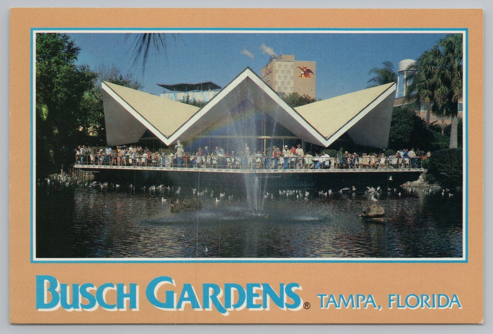 Amusement Park & Circus~Busch Garden~Fountain~Tampa Florida~Continental ...