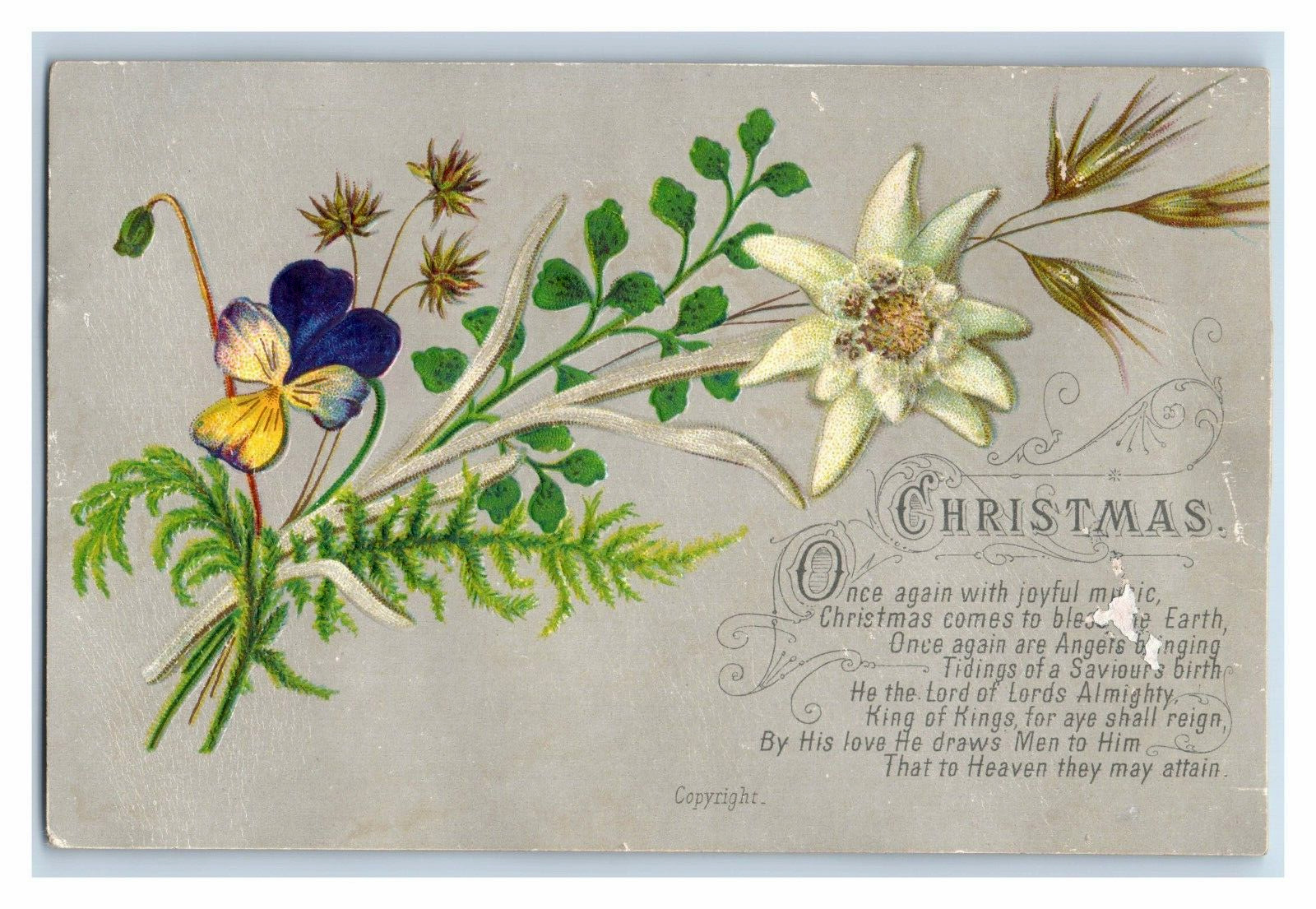 1880s Embossed Victorian Christmas Card Poem Lovely Edelweiss Flower ...