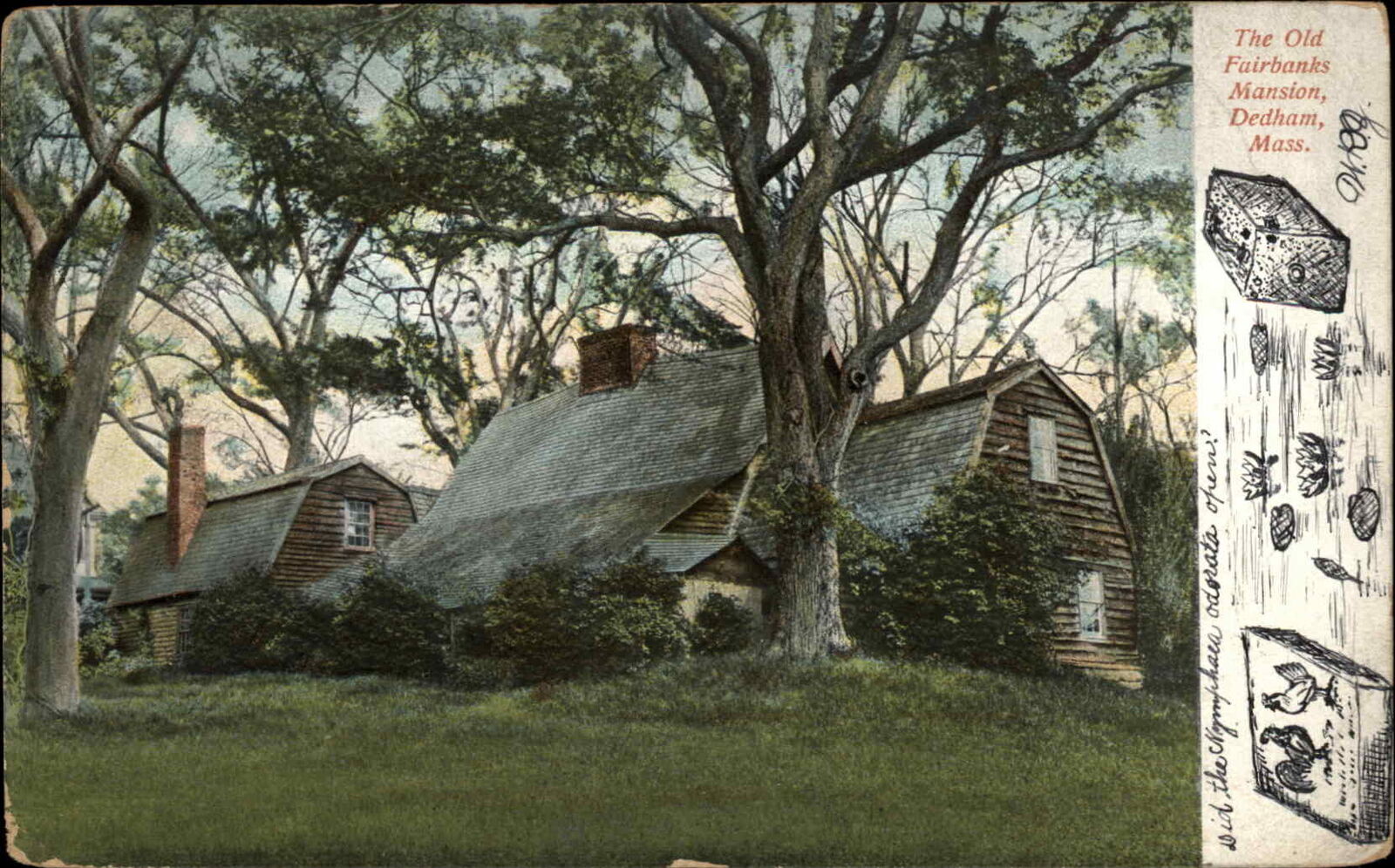 Dedham MA Handmade Hand Drawn Pen Ink Cursive Writing Water-Lily c1910 ...