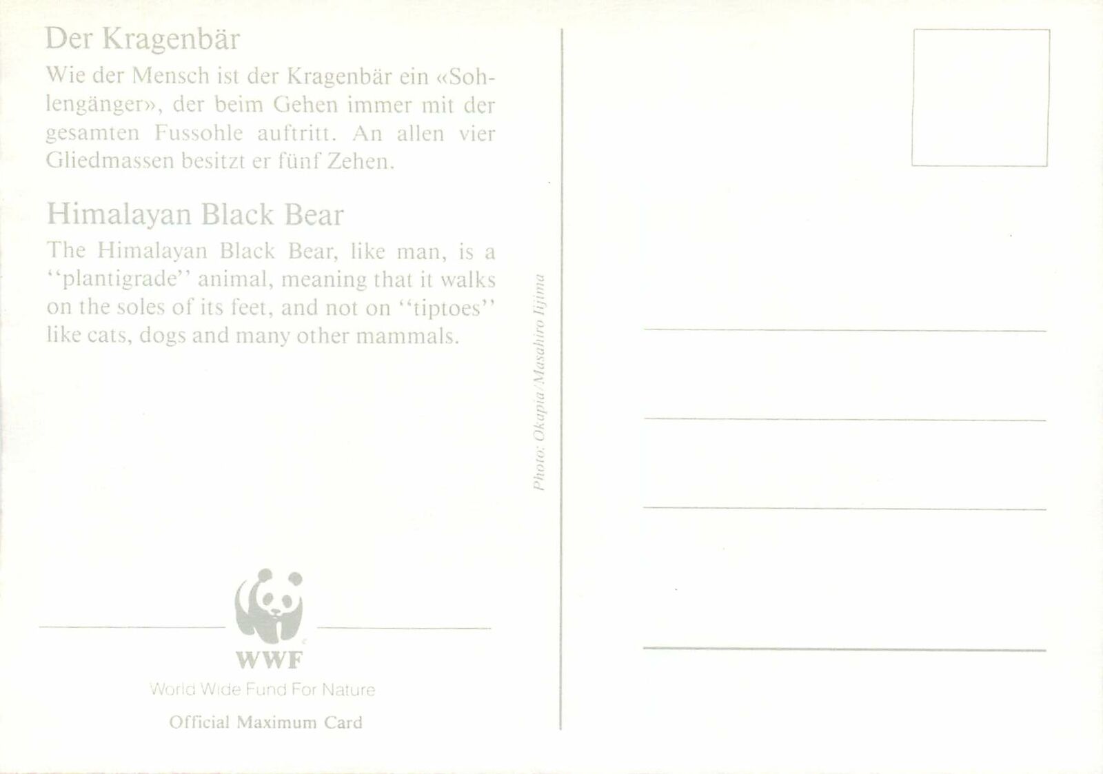 Postkarte WWF Fauna maximum card Pakistan Peshawar Himalayan Black Bear ...