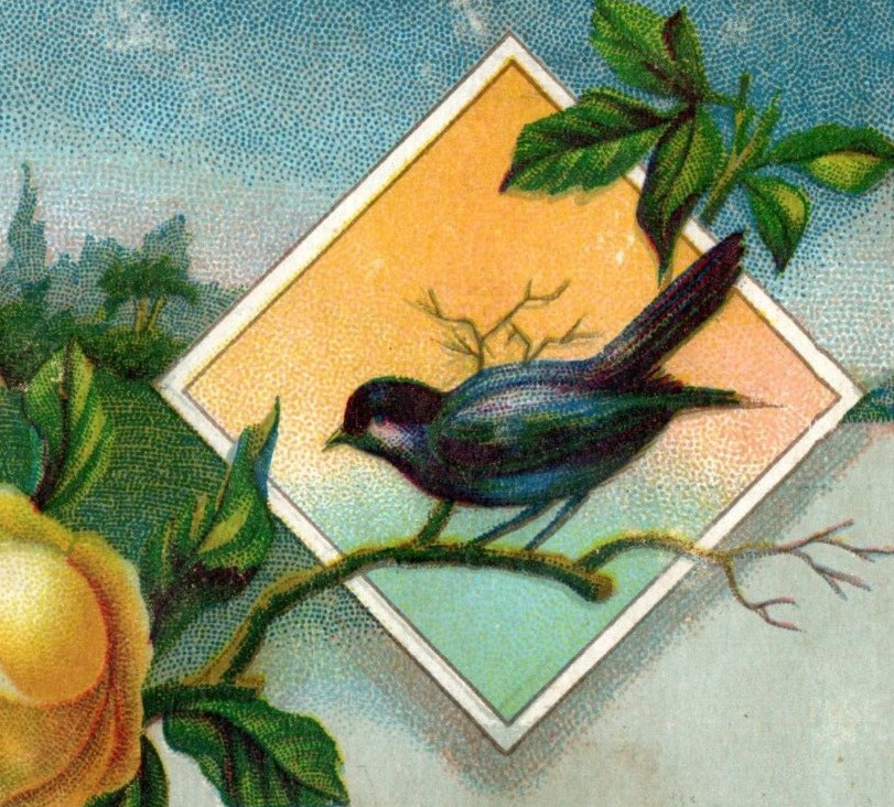 1880s John Horstmann's Lavarine Soap San Francisco #2 F191 | Ephemera - Chromo & Printed Images ...