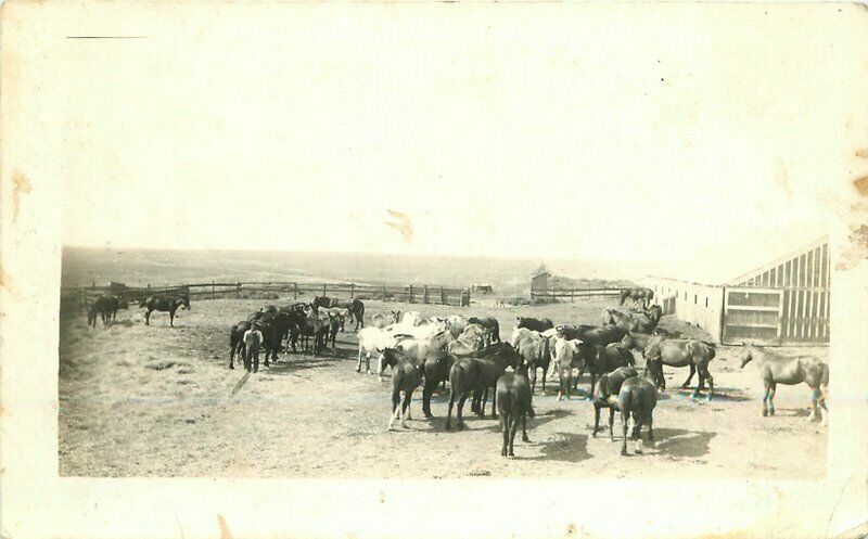 1920s Western Ranch horse Corral RPPC Photo Postcard 20-801 | Other ...
