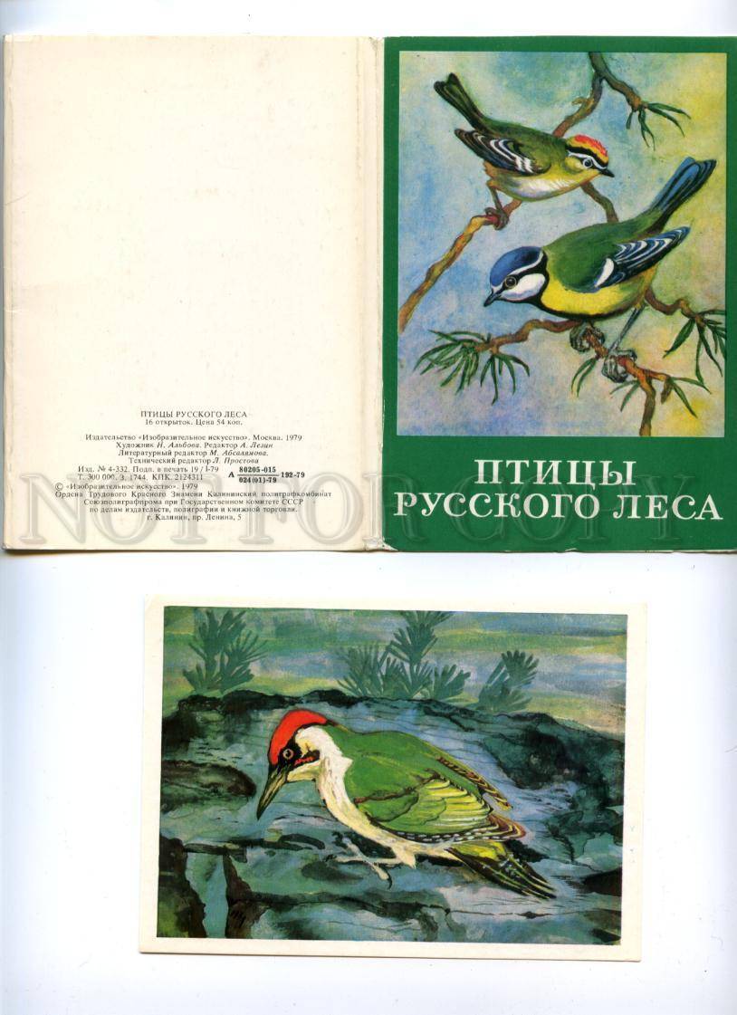 142001 Birds of Russian Forest Complete SET of 16 color cards | Topics ...