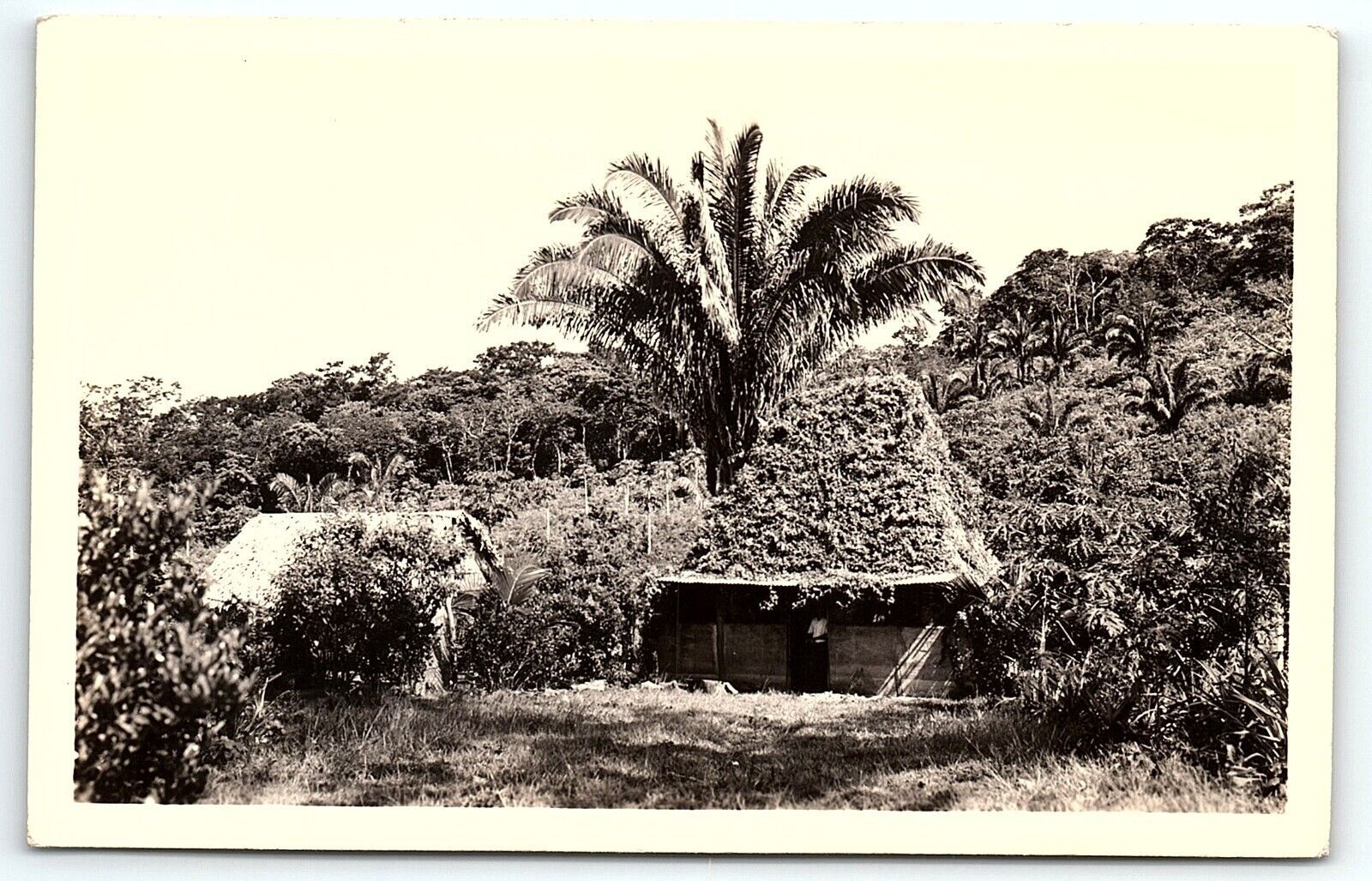 1940s Panama Darien Indian Home Foto Flatau Photo Rppc Postcard P173 ...