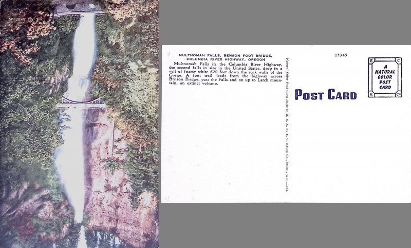 Multnomah Falls and Benson Foot Bridge Postcard | United States ...
