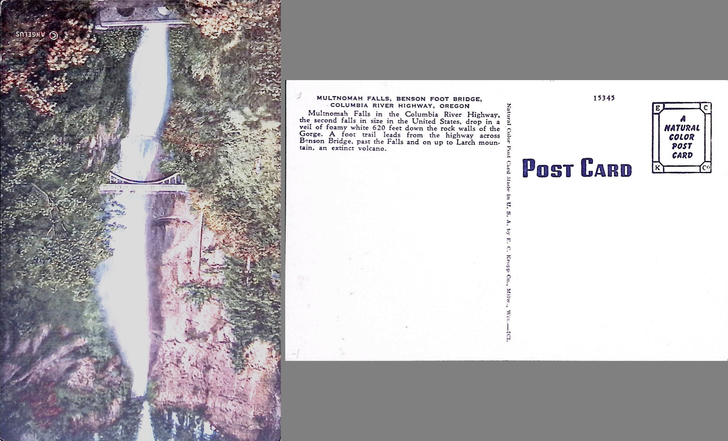 Multnomah Falls and Benson Foot Bridge Postcard | United States ...
