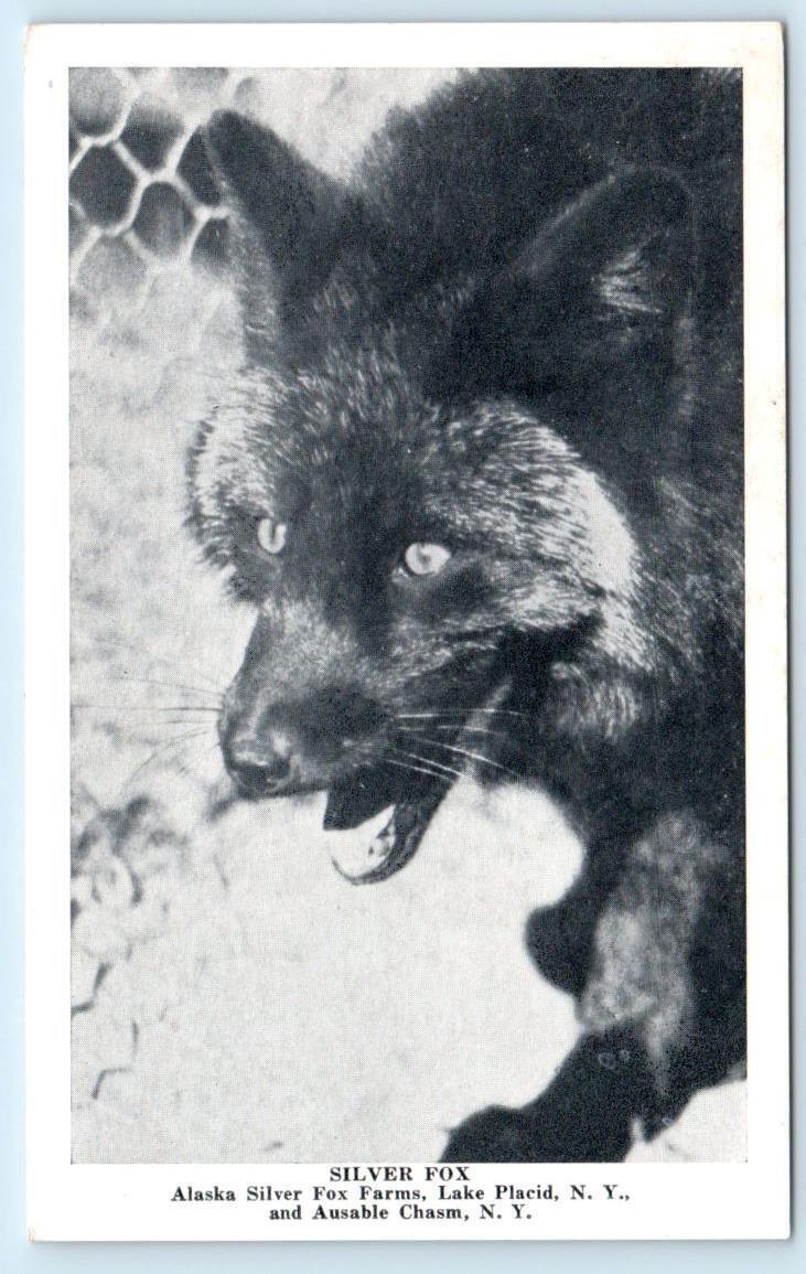 ALASKA SILVER FOX FARMS ~ Lake Placid & Ausable Chasm New York NY ...