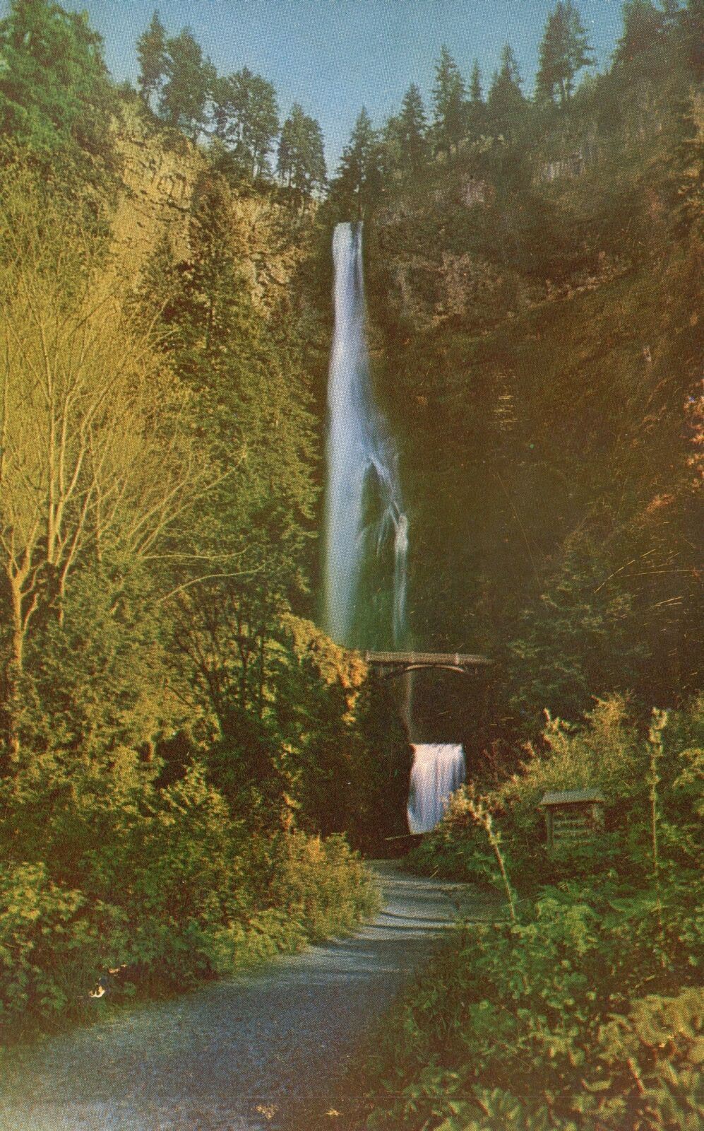 Vintage Postcard Multnomah Falls Gorge River Highway Trails Columbia ...