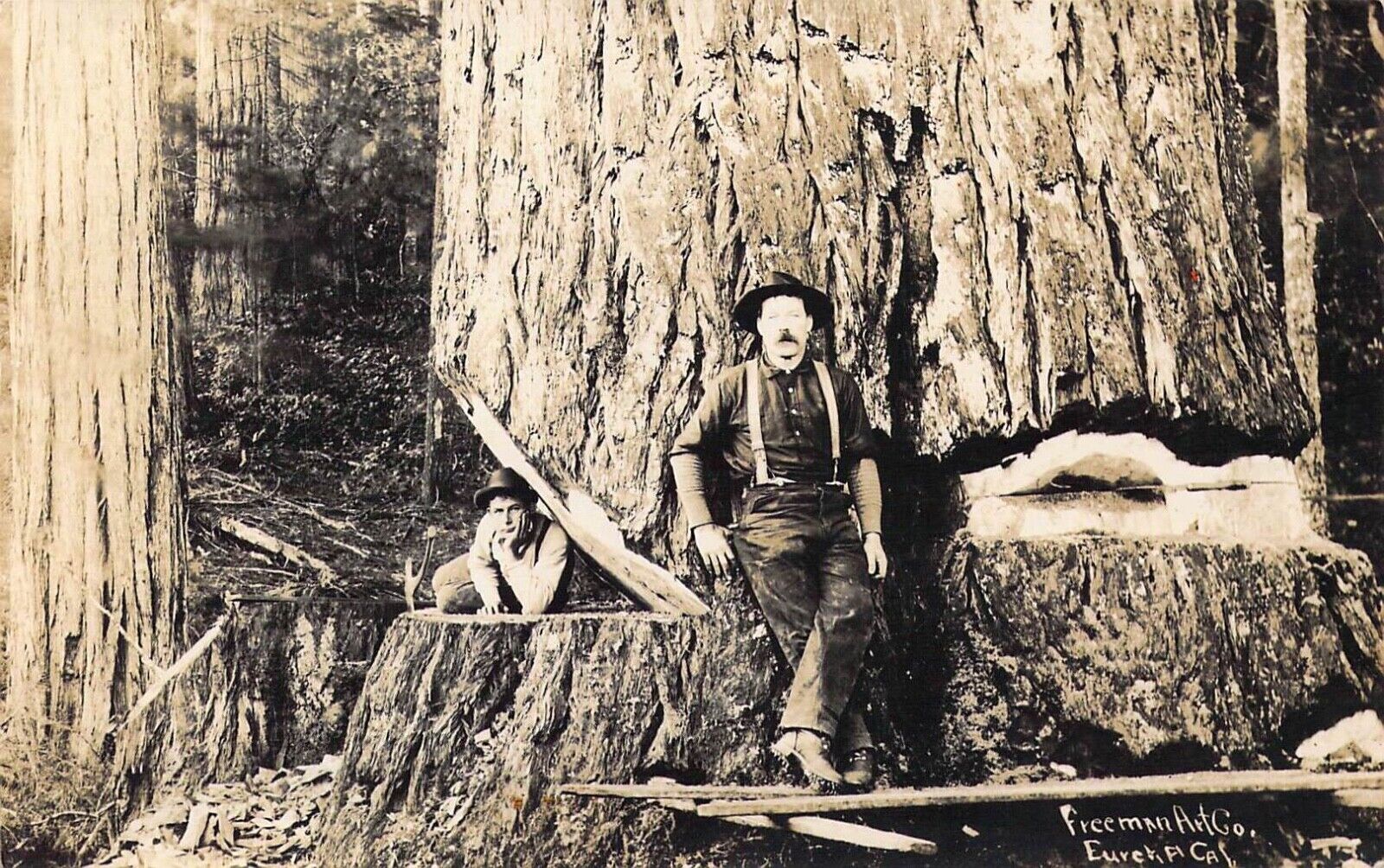 RARE c.'20, Real Photo, BIG TREE, Redwood Lumber Jacks, Eureka, CA,Old ...