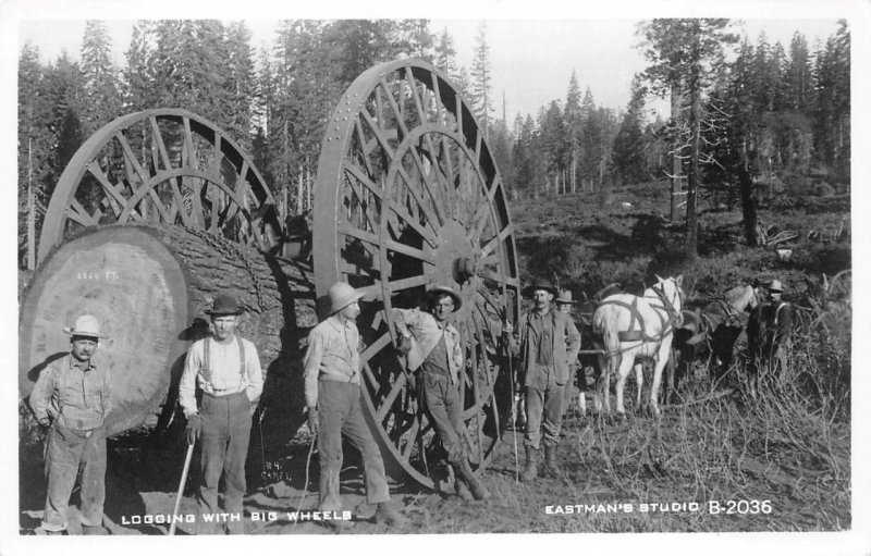 Rppc Logging With BIG Wheels California Real Photo Postcard (C. 1950s ...