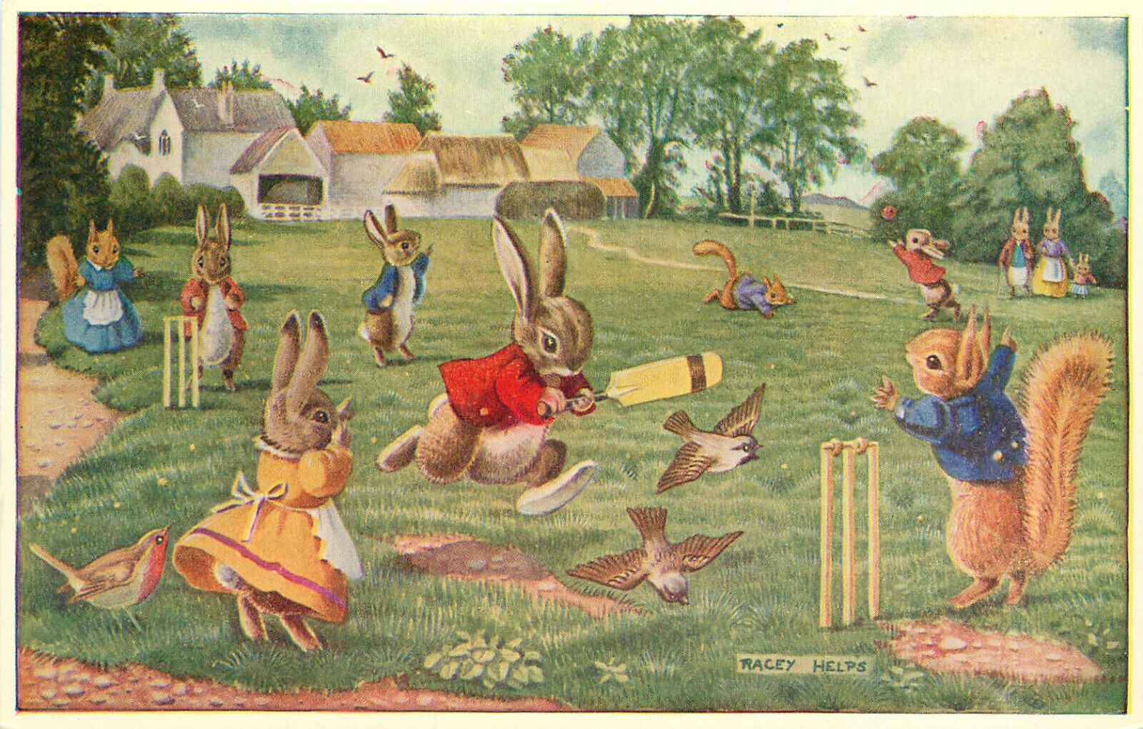 Medici Postcard Racy Helps PK213 Dressed Animals Play Cricket Hit For ...