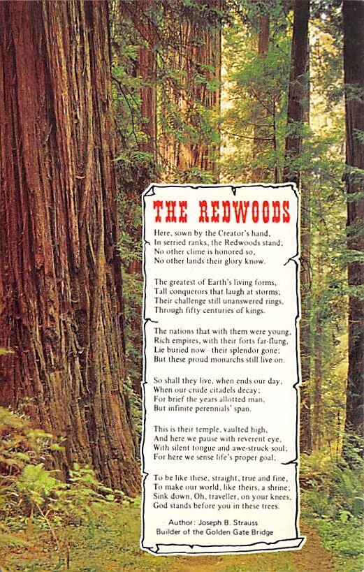 The Redwoods Poem Misc California | Topics - Other, Postcard / HipPostcard