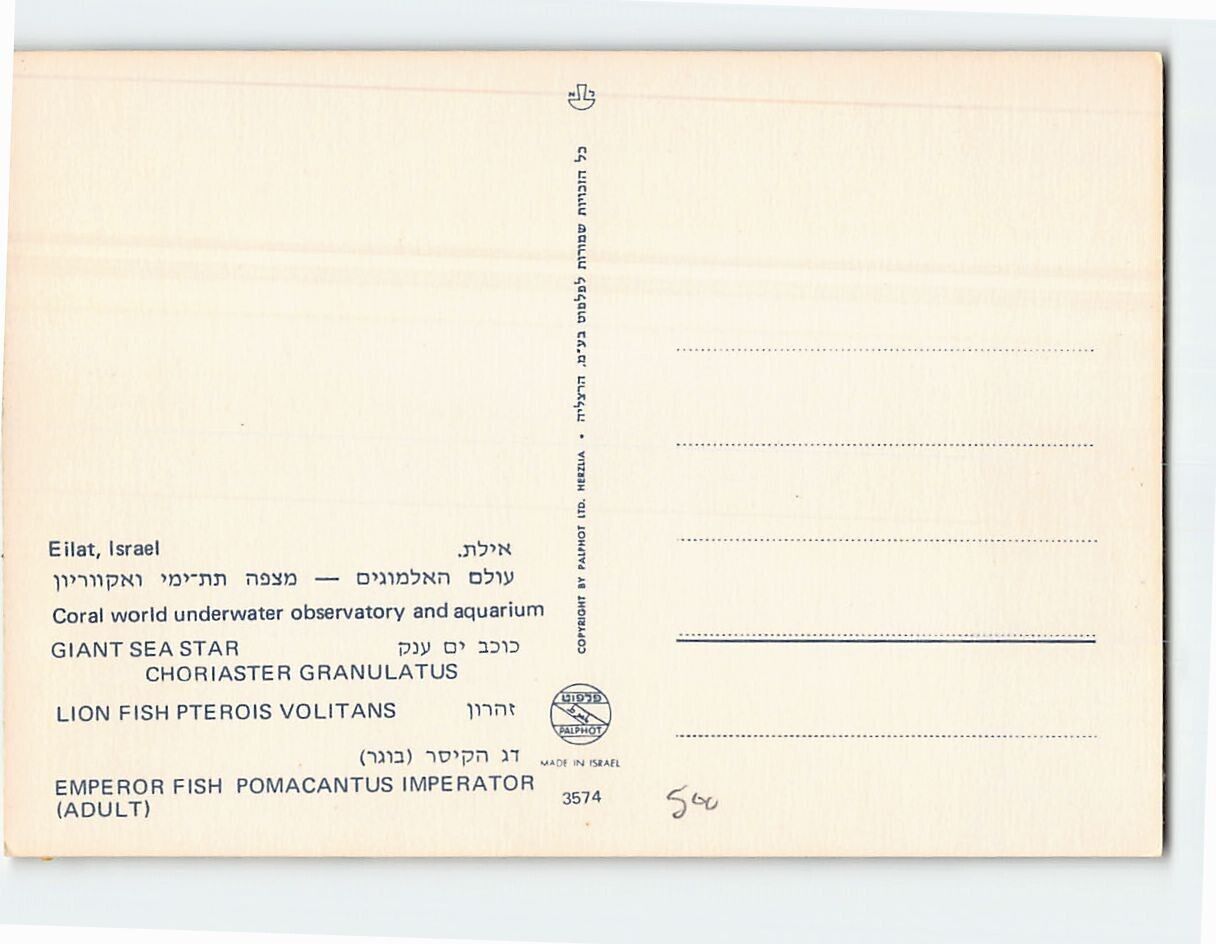 Postcard Coral world underwater observatory and aquarium, Eilat, Israel ...