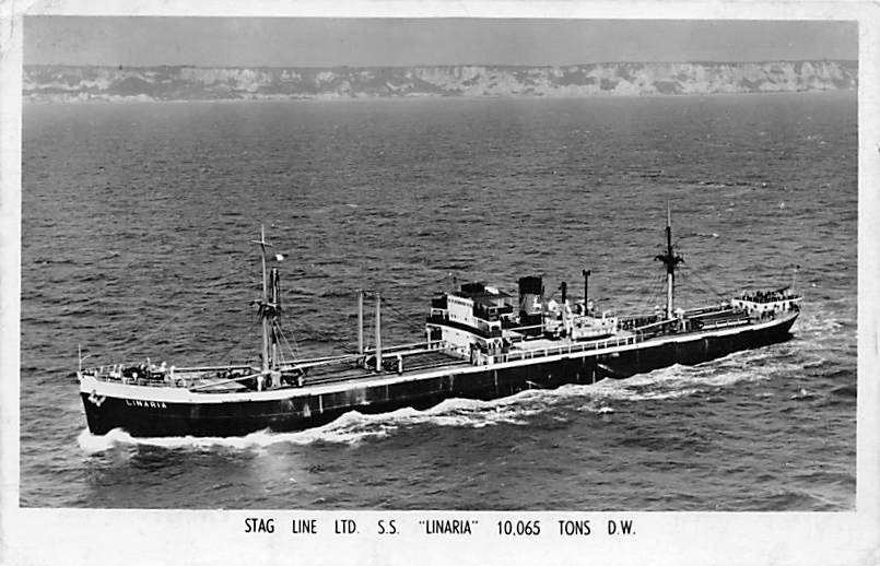 S.S. Linaria, Stag Line Ltd. View image | Topics - Other, Postcard ...