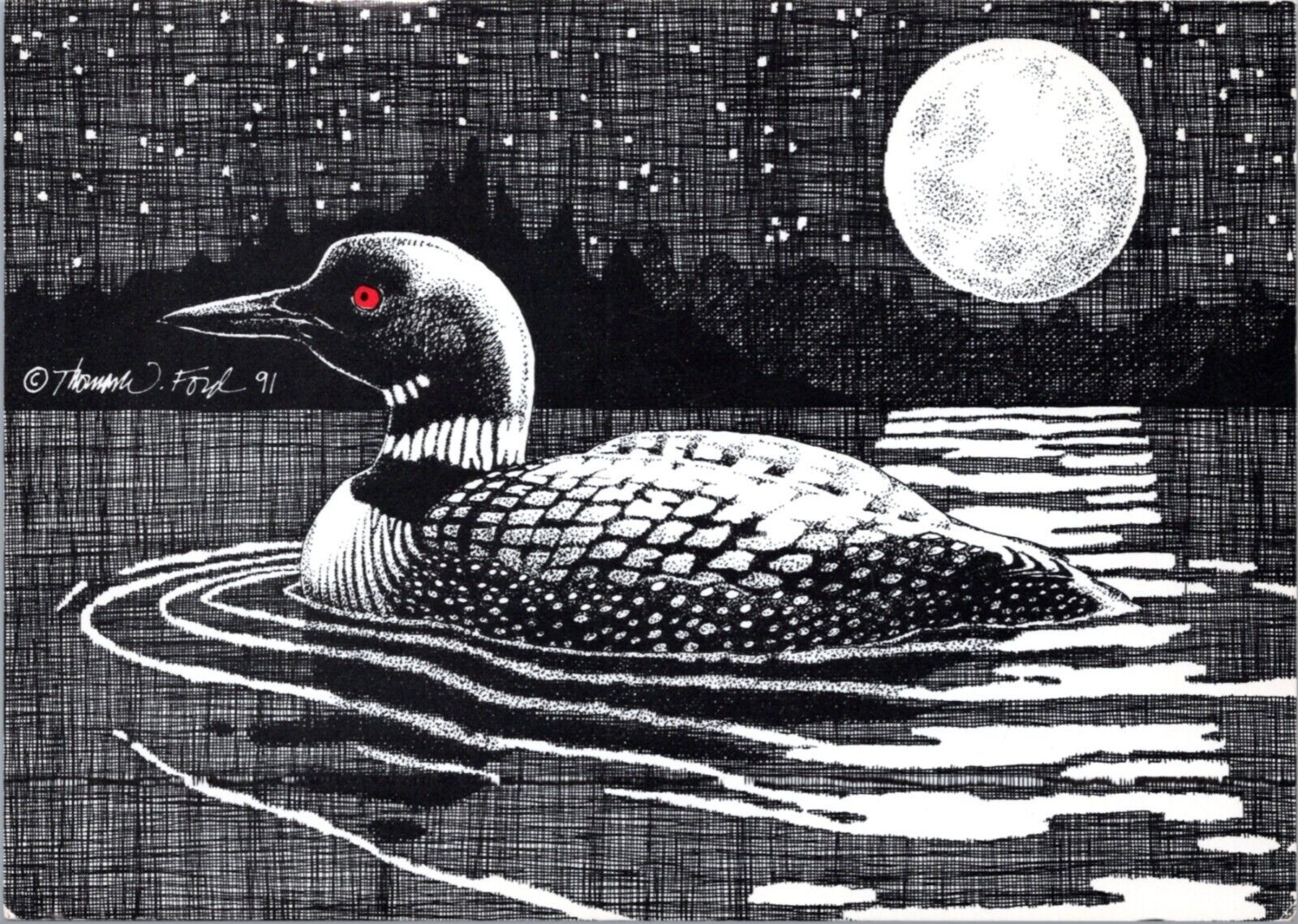 Postcard Art Common Loon in Moonlight - from drawing by Thomas W. Ford ...