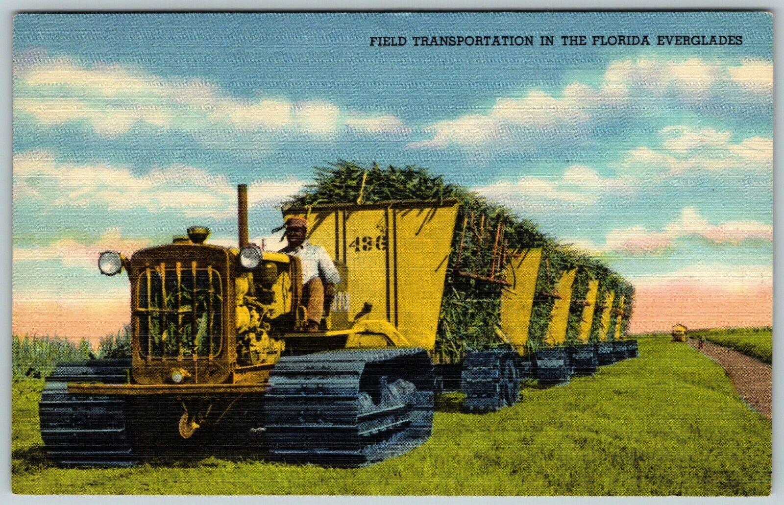 Field Transportation in the Florida Everglades, Tractor, FL - Linen ...